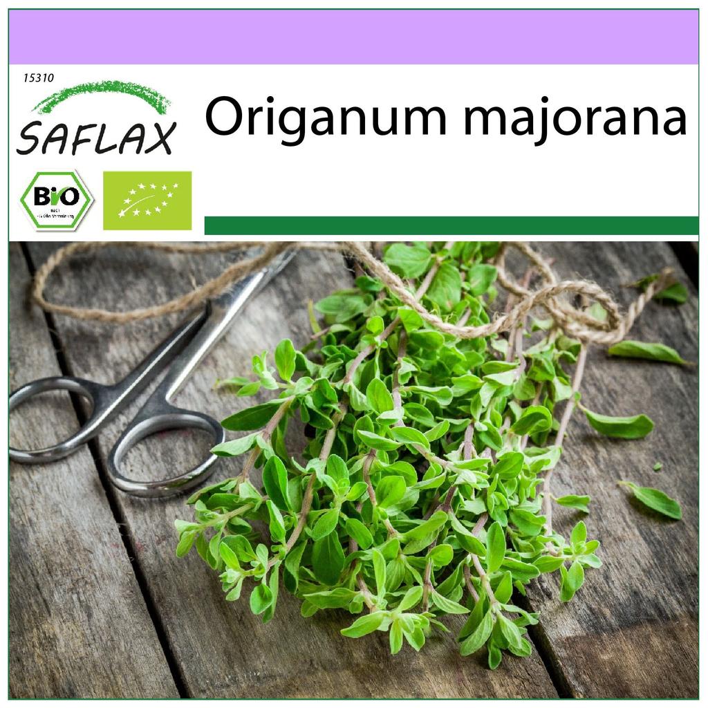 SAFLAX Bio - Majoran - 700 Samen - Origanum majorana – zu niedrigen ...