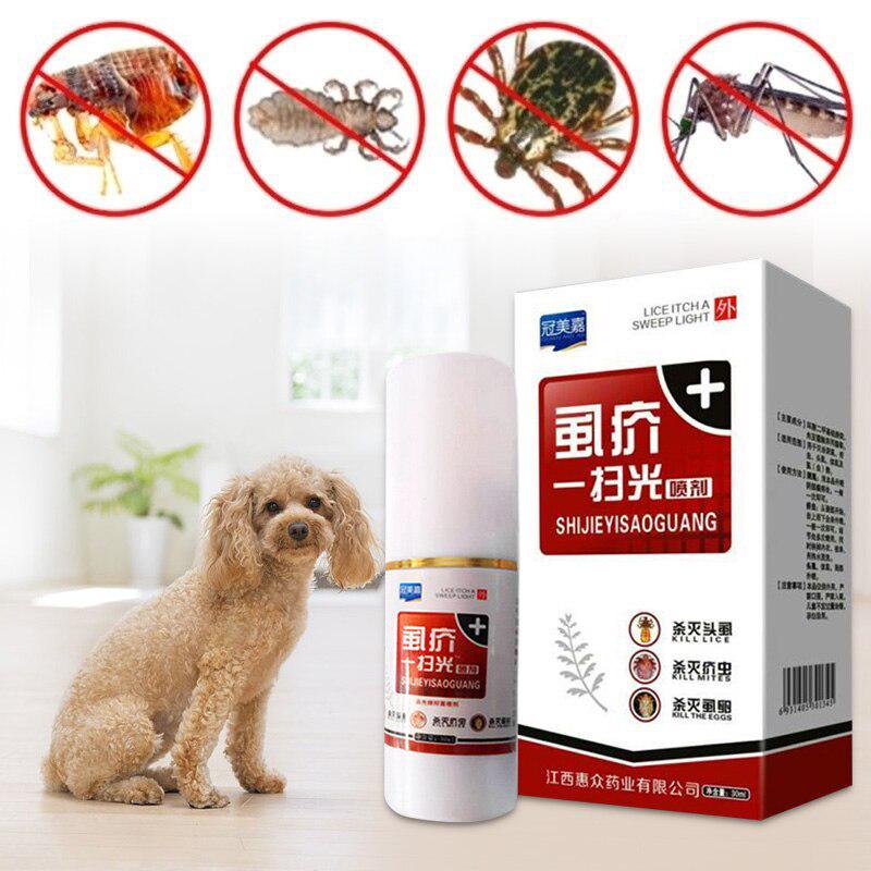 Buy 1 Pcs Pet Dog Puppy Cat Insecticide Spray Portable Anti-flea Flea ...