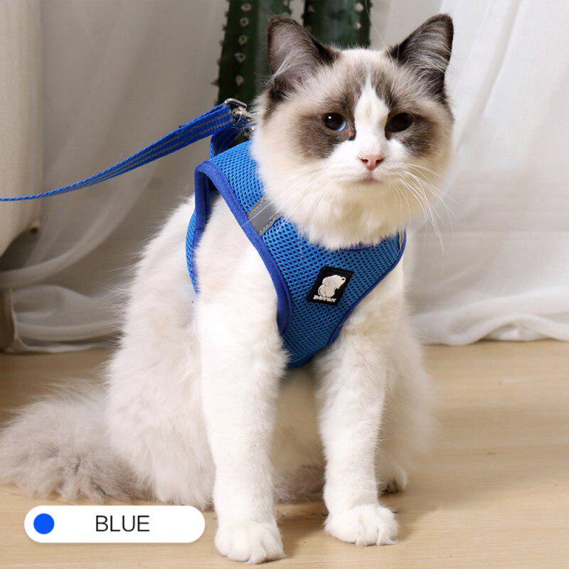 Pet Supplies Cat Breathable And Anti-breaking Off With Tethered Rope ...