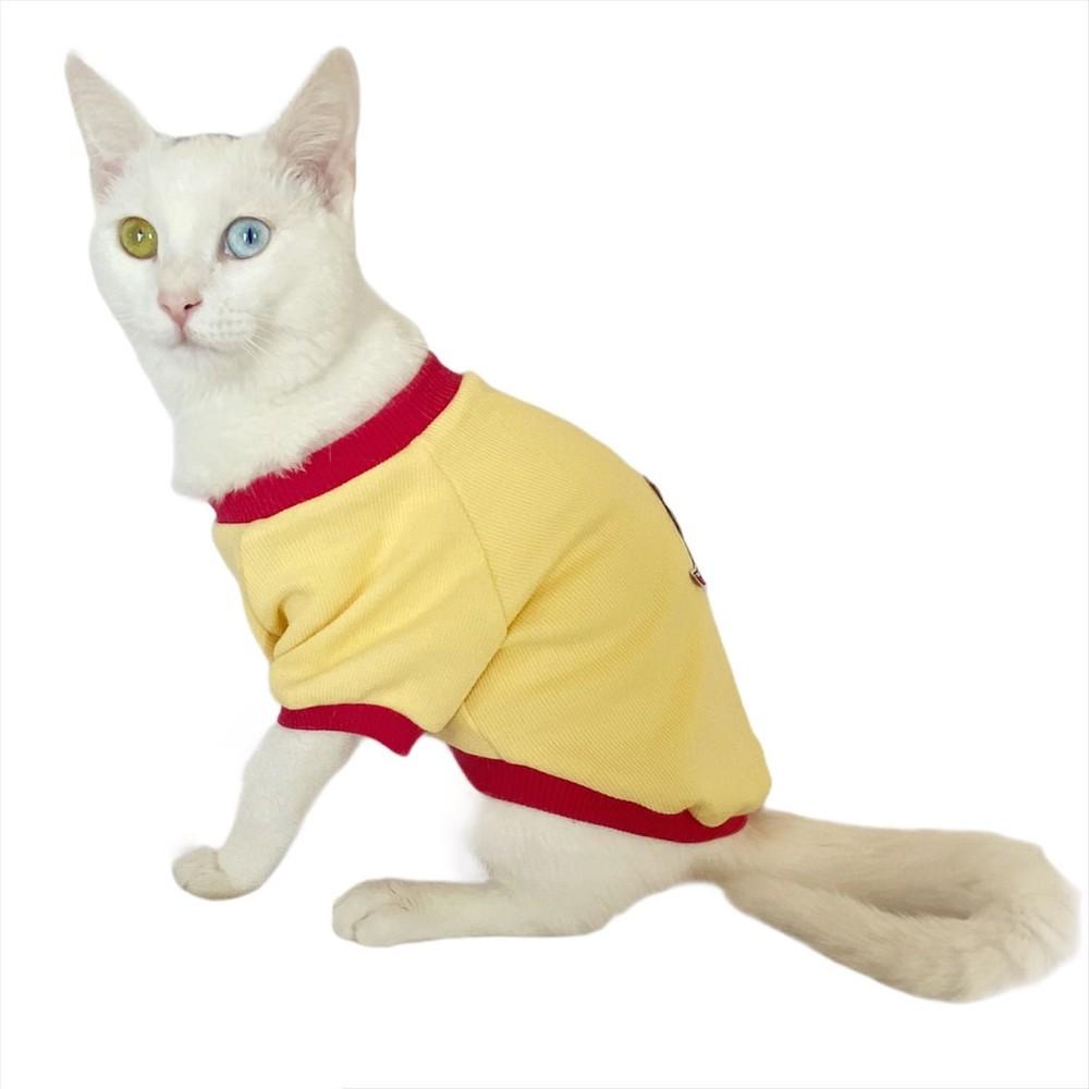 Satın alın Cat Clothing and Supplies | Joom