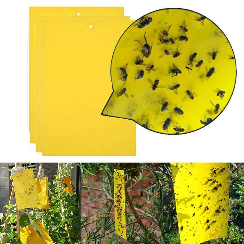 1 Pack of Strong Fly Trapping Insect Sticky Board Insect Trap Board To ...