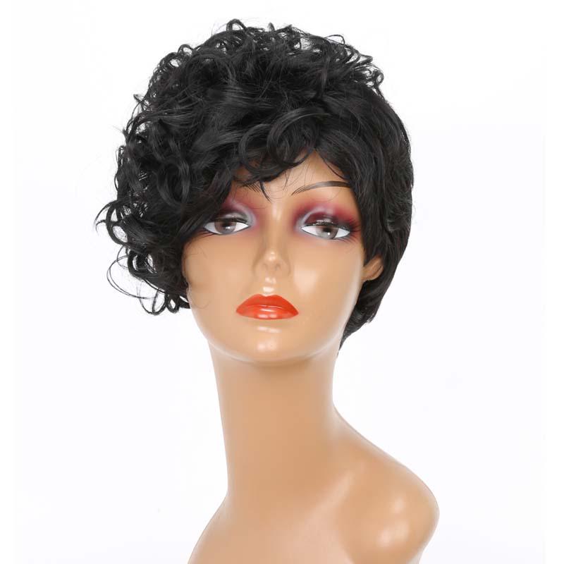 Short Curly Wig For Women Synthetic Hair Wig Beauty Forever Hair High ...