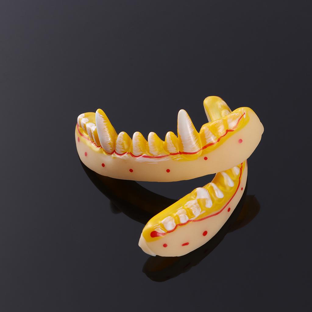 Buy 1 Pair Funny Goofy Fake Vampire Denture Teeth Halloween Decoration ...