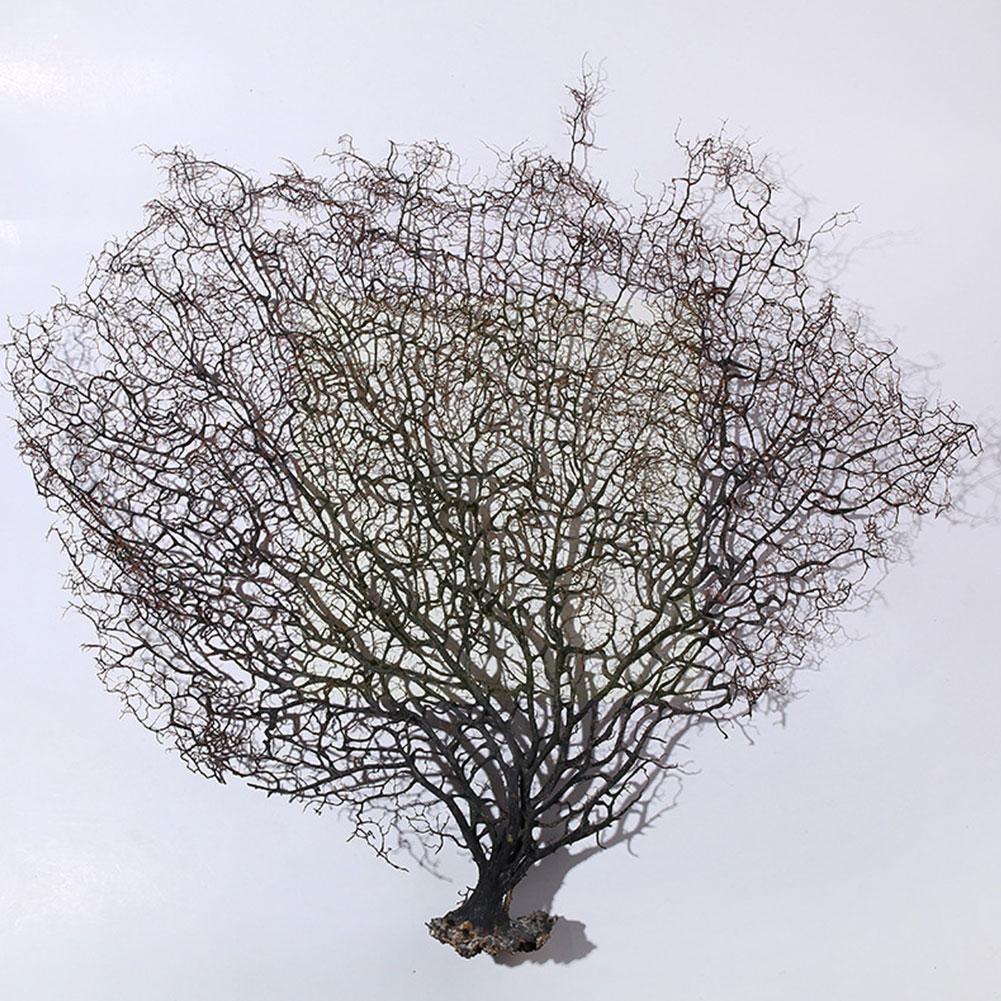 Buy Natural Conch And Sea Willow Tree Sea Iron Tree Red Wall Coral Branch Sticker Willow Fish ...