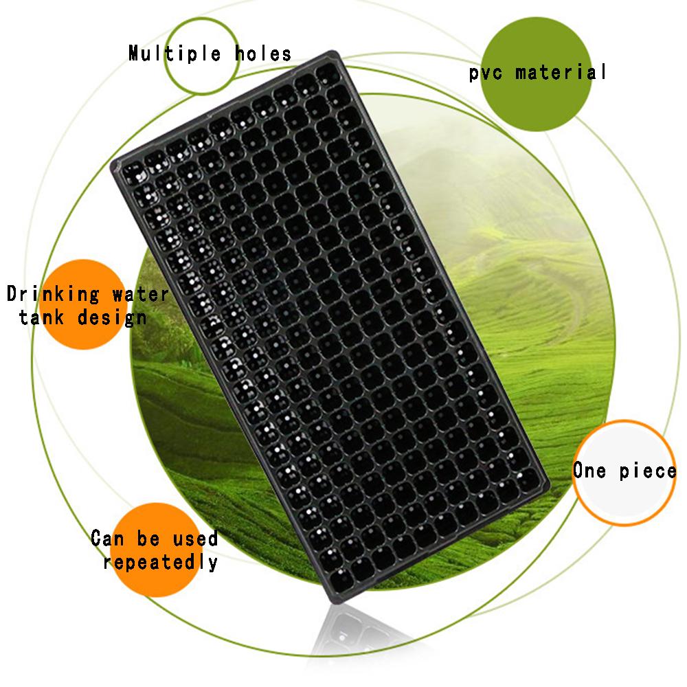 Buy 200 Cell Seedling Starter Tray Seed Germination Plant Growing ...