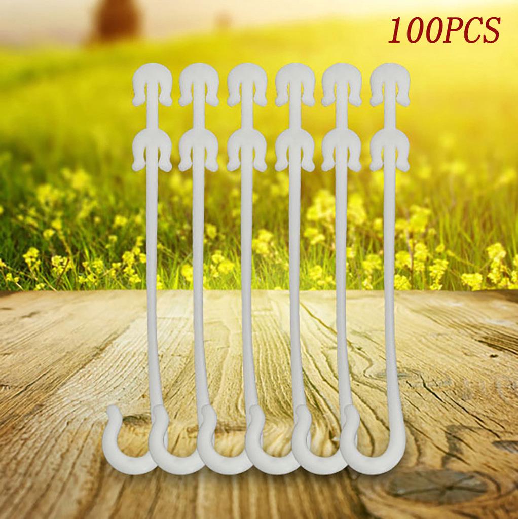Buy Greenhouse Cherry Large Tomato Fruit Ear Hook Fruit Support Pull ...