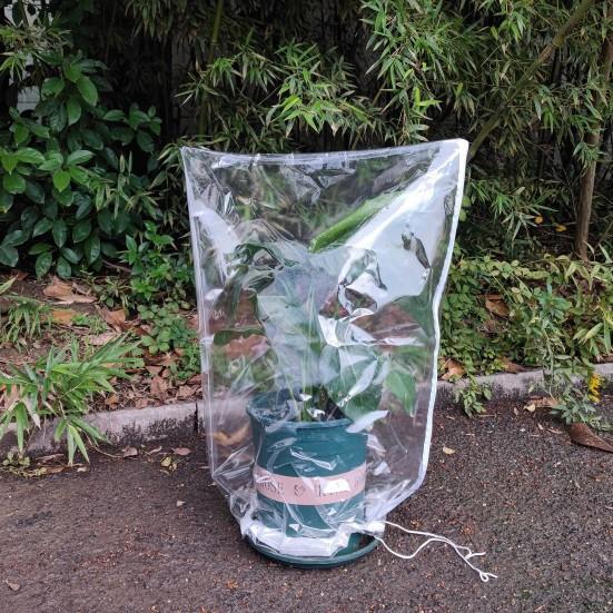 Buy Wide Application Plant Protective Bag Unique PVC Multi-use ...