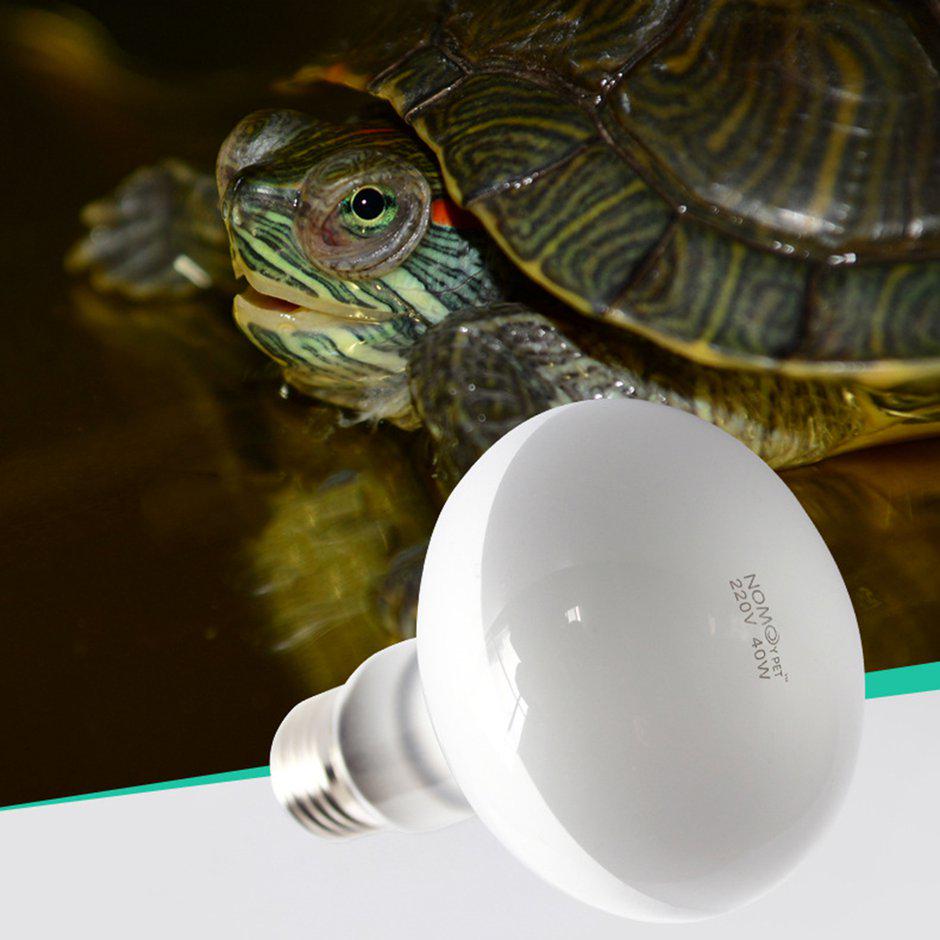 Buy 220V UVA+UVB Reptile Lamp Bulb Turtle Basking UV Light Bulbs ...
