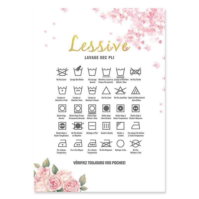 Satın alın French Laundry Symbols Guide Fold Dry Wash Posters Canvas ...