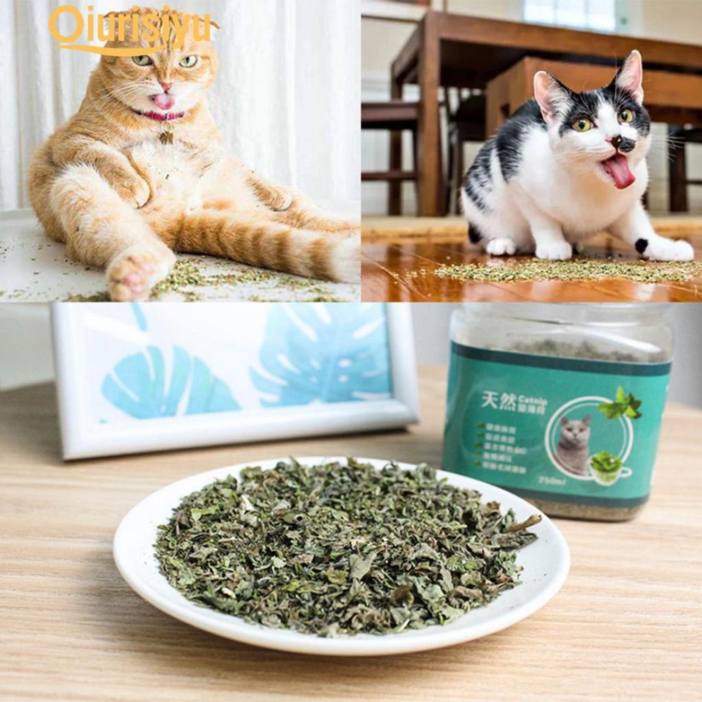 Buy 250ml Catmint Help Digestion Cat Menthol Flavor Pet Snack at ...