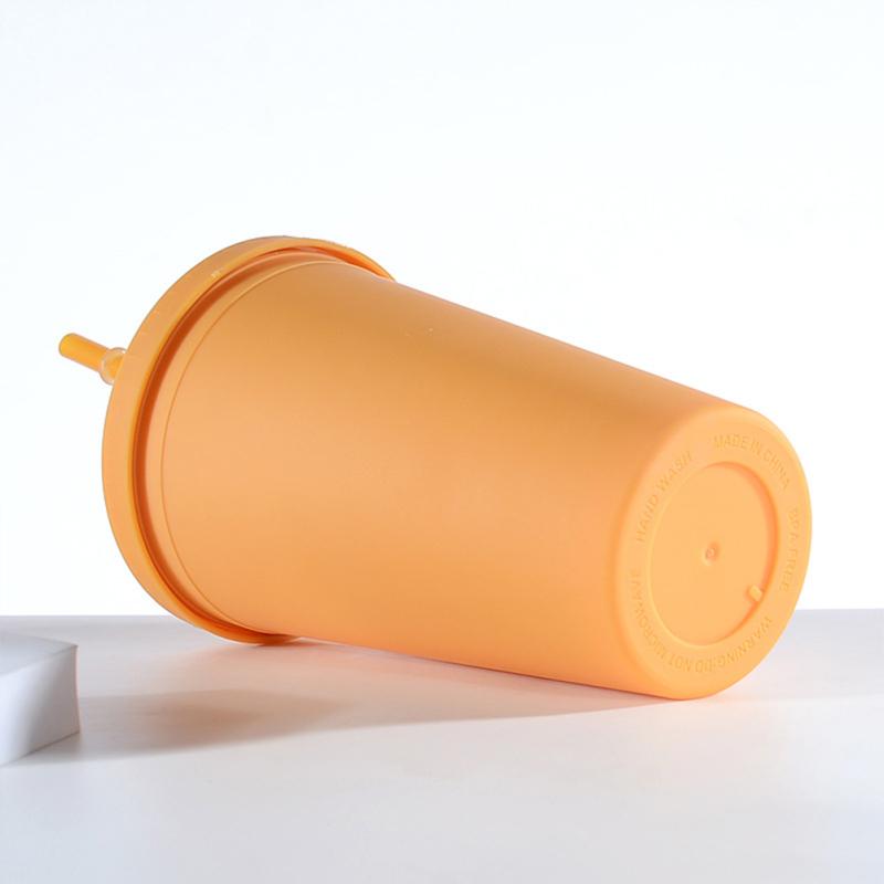 Buy Macaron Solid Color Large Capacity Straw Cup Double-layer Plastic ...