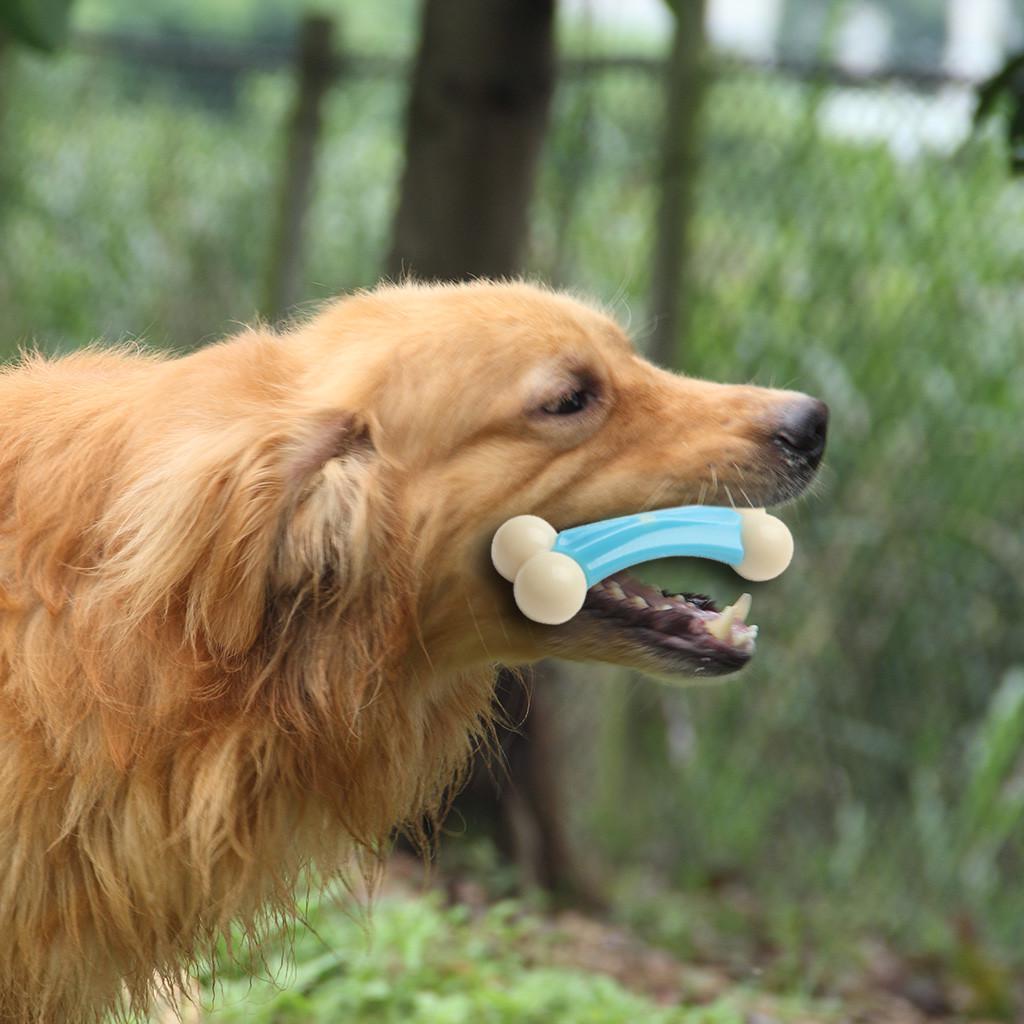 Buy Dog Rubber Chew Toys Bone Biting Molar Trainging for Pet Supplies ...