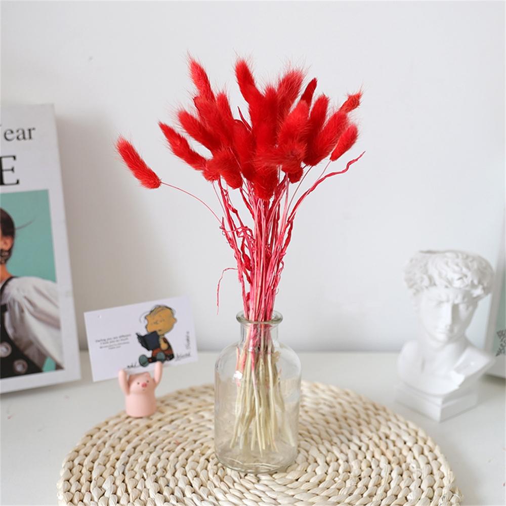 Buy 30/60/100Pcs 45Cm Natural Dried Flowers Reed Rabbit Tail Grass ...