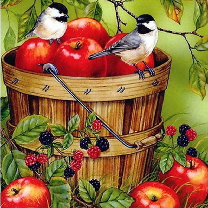 3D DIY Diamond Painting Fruit bird Full Round Mosaic Prhineston Diamond ...