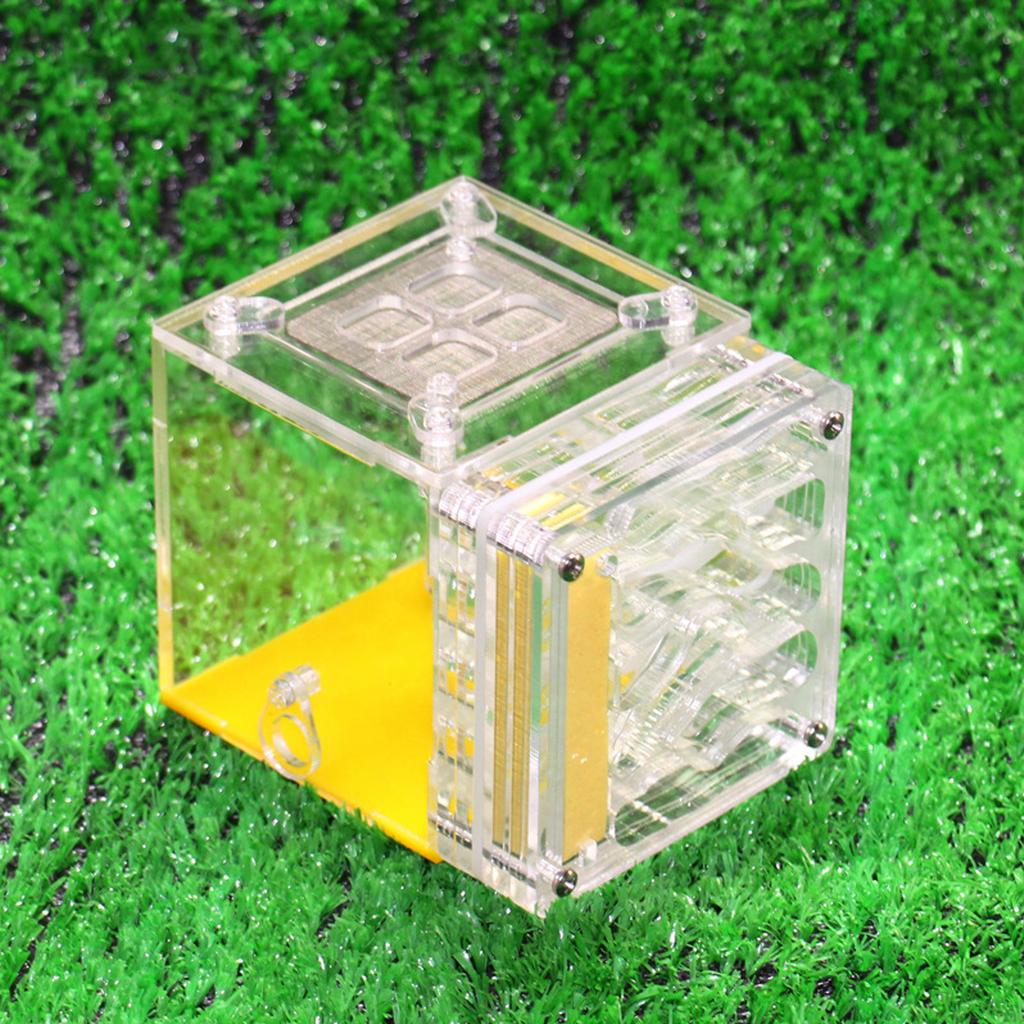 Buy Acrylic Ant Watching Breeding Box Moisturizing Feeding Case Ants ...