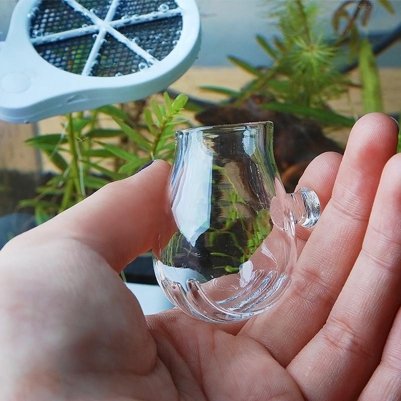 Buy Glass Feeding Cup Fish Feeder Brine Shrimp Eggs Red Worms G01579 ...