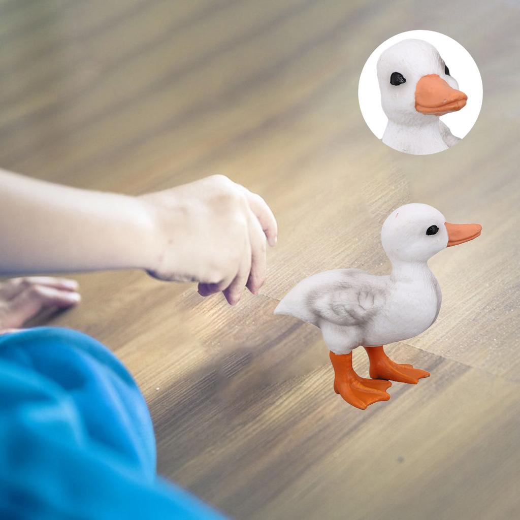 Buy Mini Simulation Animal Model Educational Realistic Duck Decor for ...