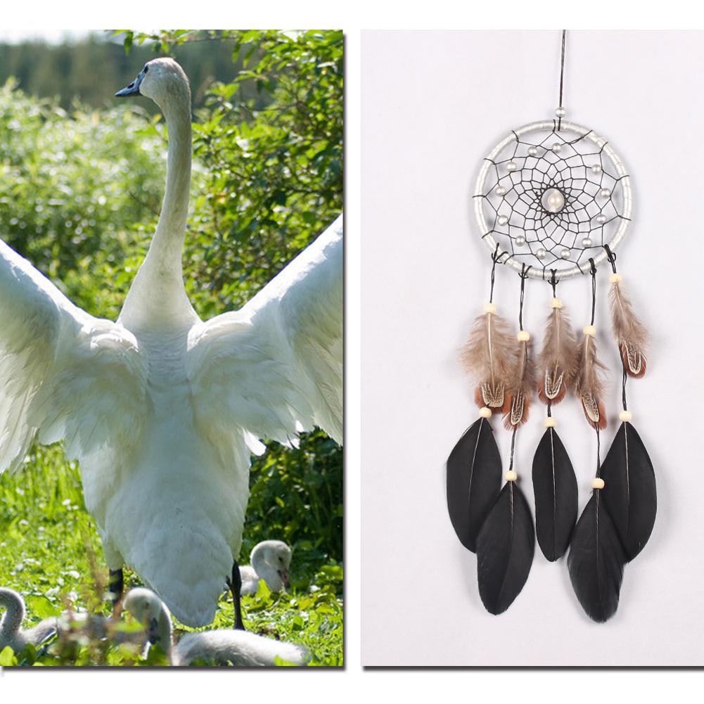 Buy Black Feather Dream Catcher Feather Bead Wall Hanging Decor Home ...