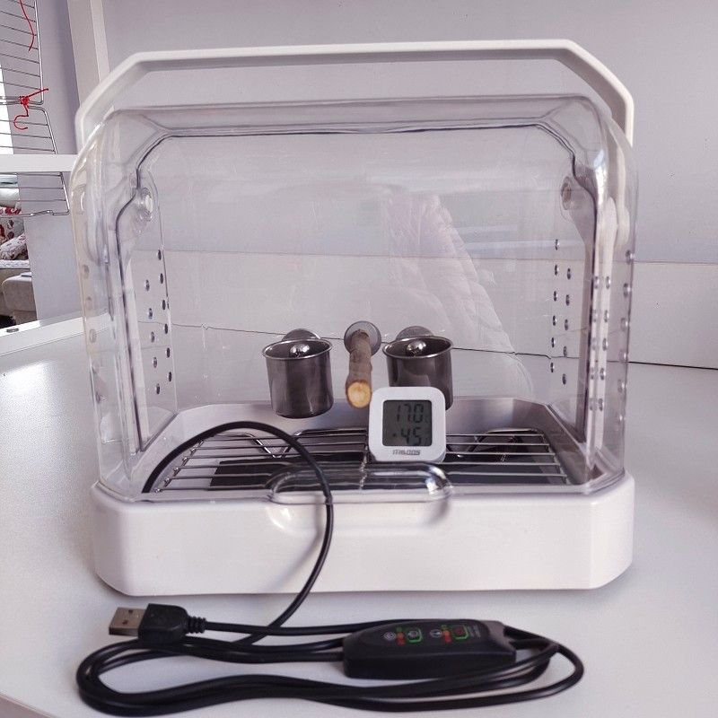 Buy Parrot Incubator Temperature-Controlled Hand-Reared Young Birds ...