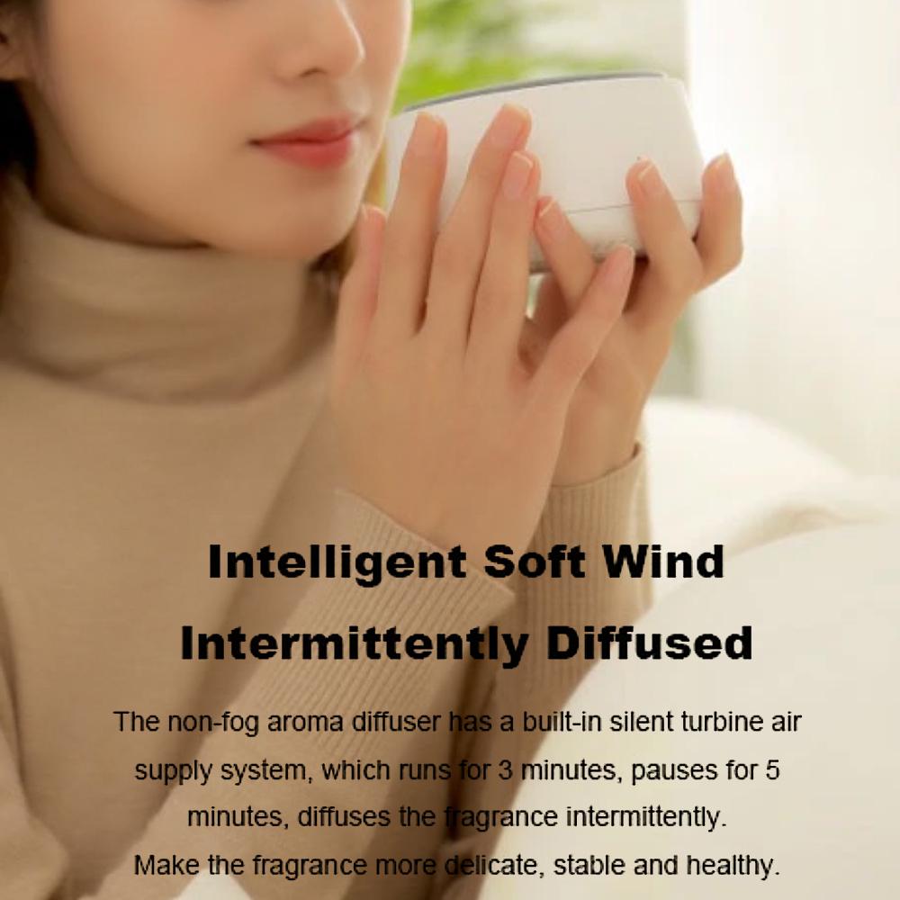 Happy Life HL Nonfog Aromatherapy Essential Oil Diffuser Air Purifier ...