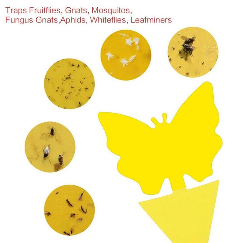 Satın alın 10pcs Yellow Strong Flies Sticky Traps Bugs Flying Traps ...