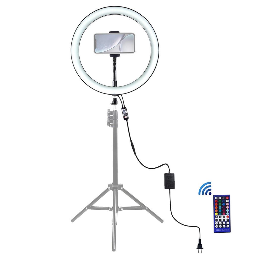 Buy Ministore! Ring Light 9 Inch With Phone Stand Cradle Head 8 Light ...