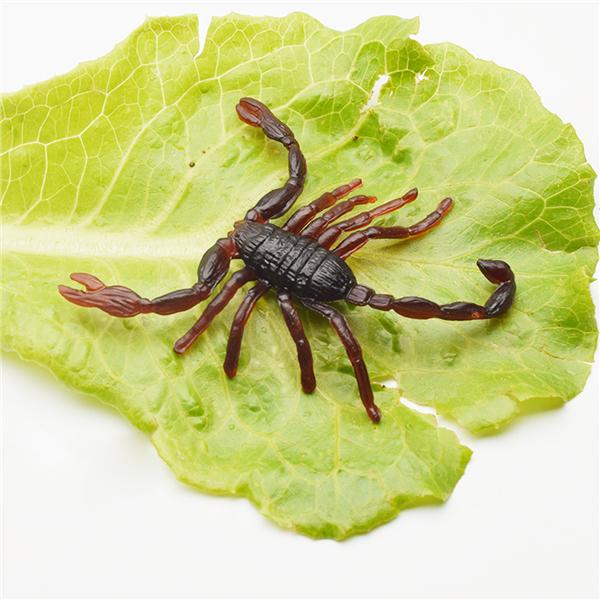 Buy 70pcs Fake Insects Prank Simulation Gecko Realistic Bugs Centipede ...