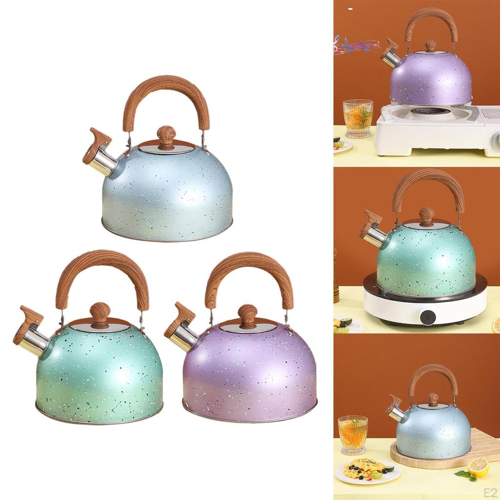 Stainless Steel 4L Teakettle, Anti Heat Handle Cookware Kitchenware ...
