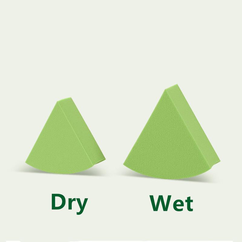 Buy 12PCS Cosmetic Sponge Dry&Wet Use Makeup Puff Sponge Foundation ...