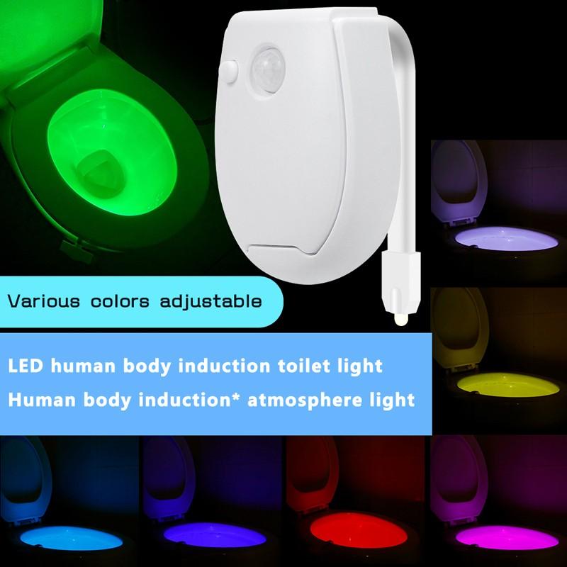 💰Kjøp Night Light PIR Motion Sensor Toilet Lights LED Washroom Night ...