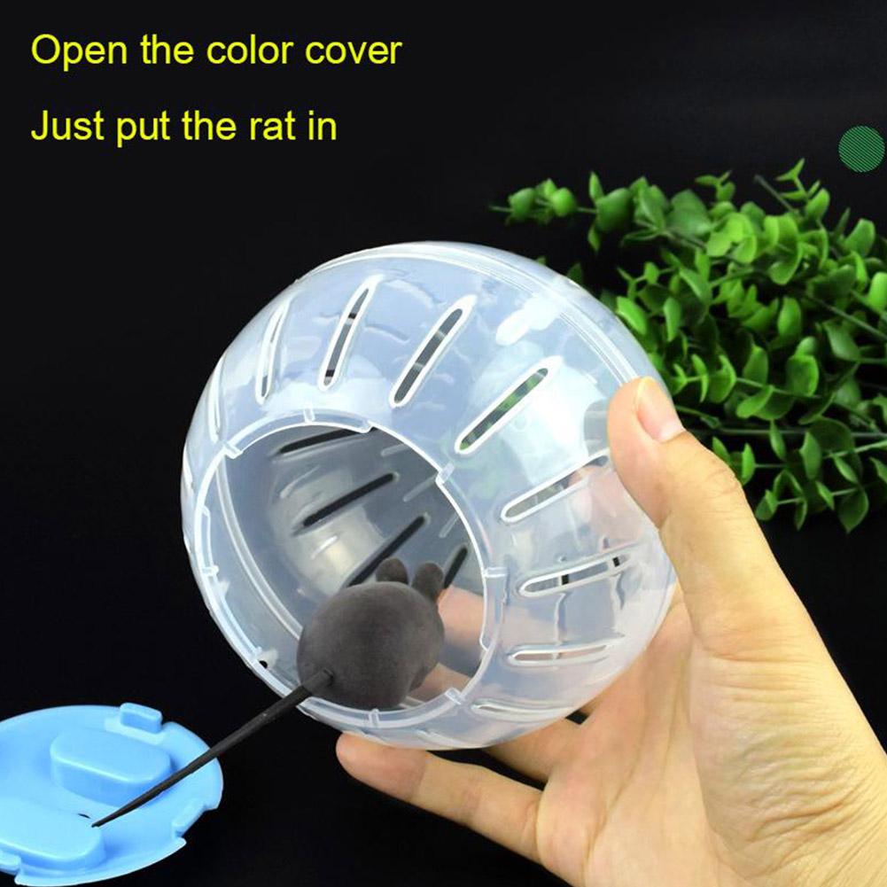 Buy Hamster Treadmill Plastic Round Ball Toy For Hamsters Rat Ball ...