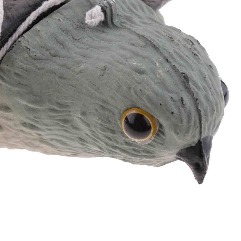 Buy Realistic Flying Bird Hawk Decoy Pigeon Crow Scarecrow Garden ...
