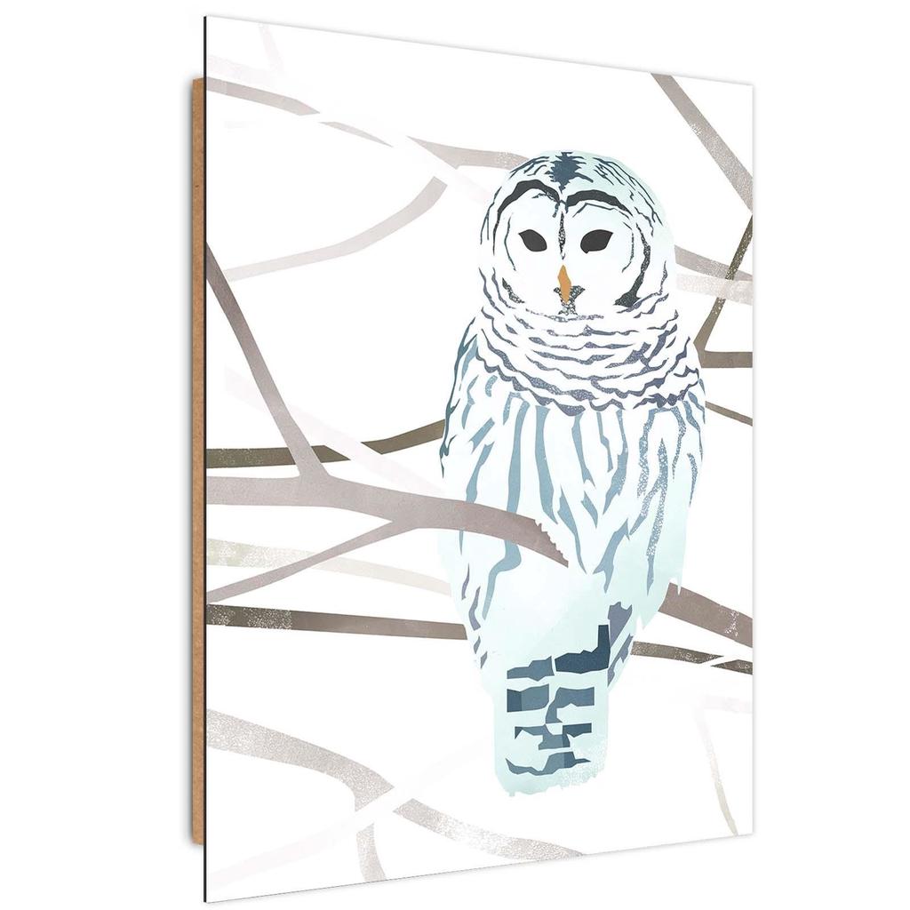 Buy Deco Panel, Snowy Eagle Owl at affordable prices — free shipping ...
