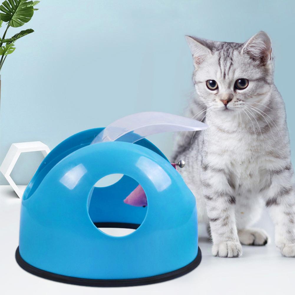 Buy 360 Degree Rotation Pet Cat Game Plate Pet Cat Rotation Toy, for ...