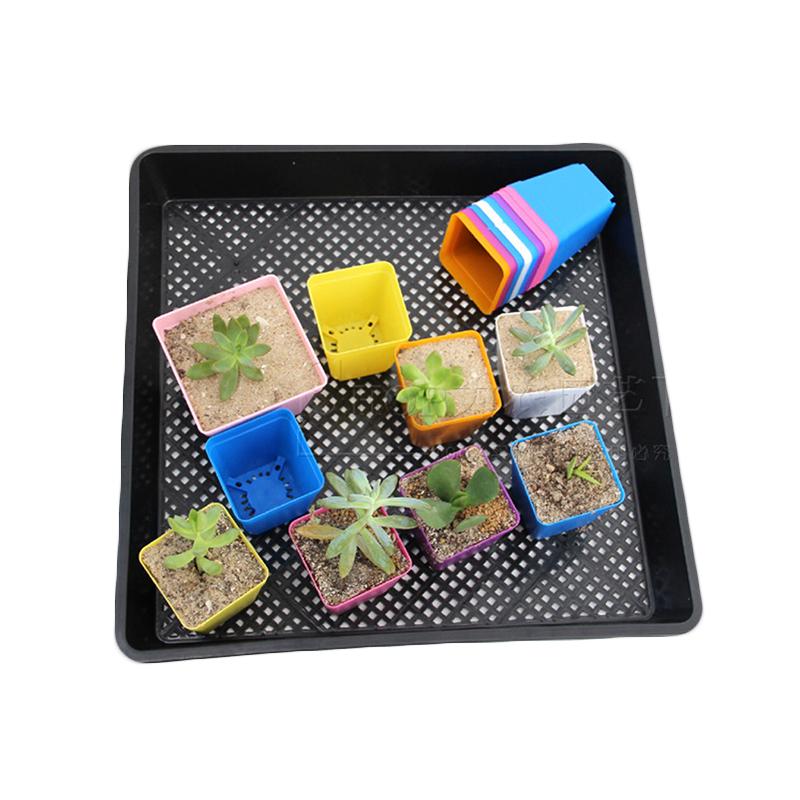 Buy Starter Planting Tray Flat Bottom Rectangle Germination Flower Pots ...