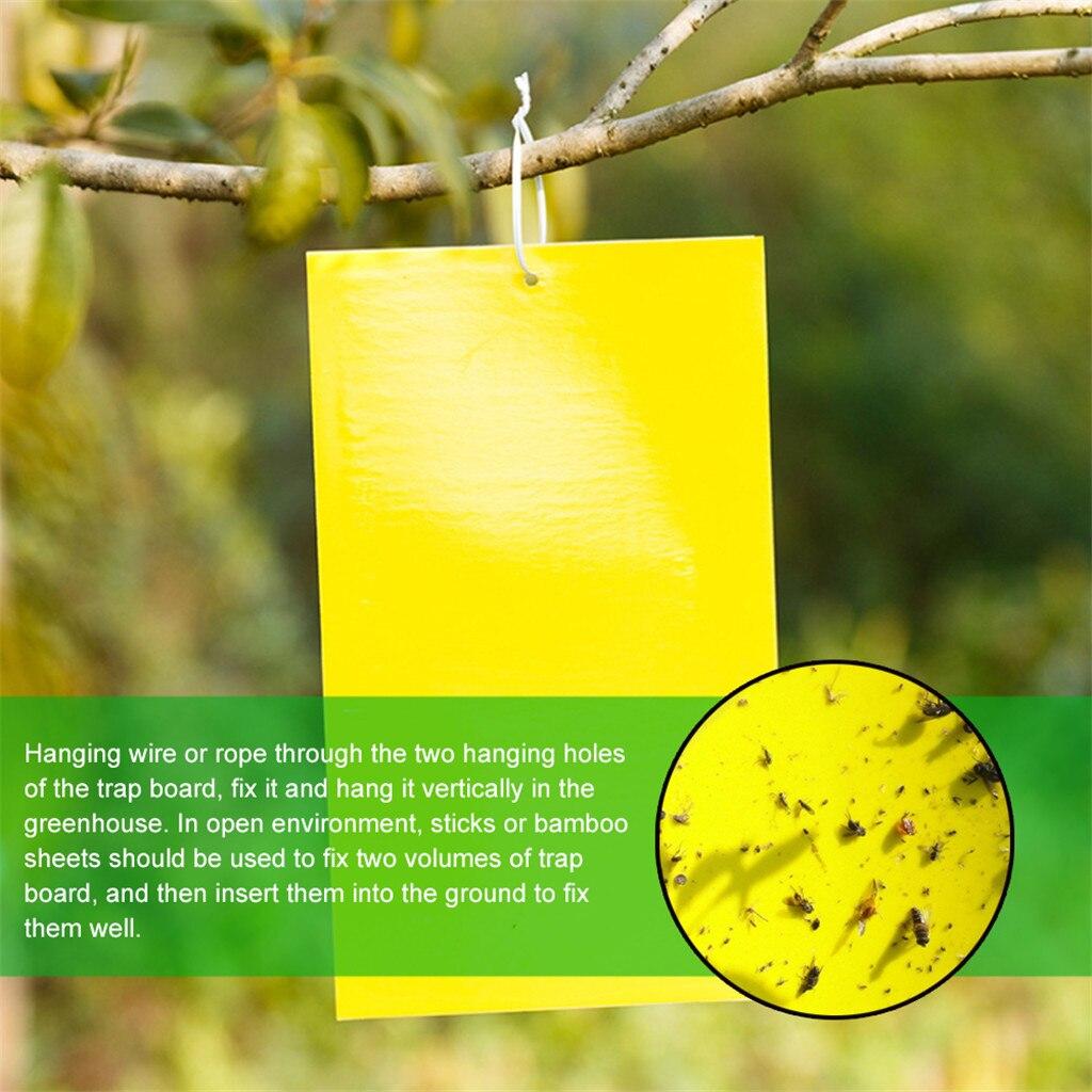 Buy 10/20 pcs Strong Flies Traps Bugs Sticky Board Catching Aphid ...