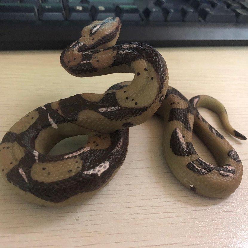 Buy HHY Simulation Of Wild Animals Circling Boa Constrictor Toy Wild ...