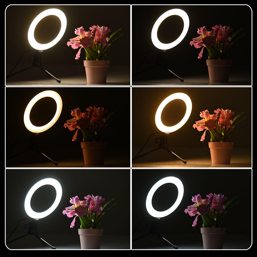 Buy 6 Inch Mini LED Video Ring Light Lamp Dimmable 3 Lighting Modes USB ...
