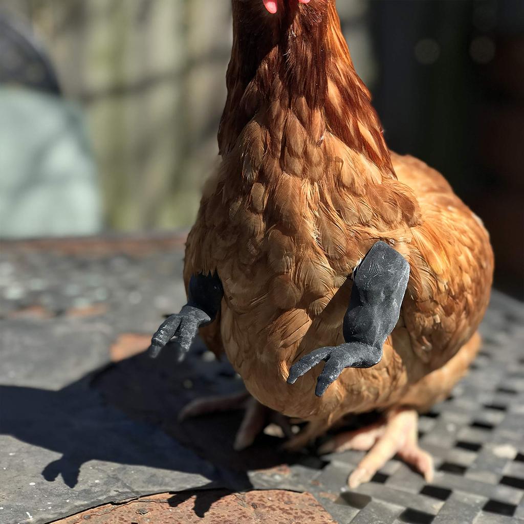 Buy Chicken Arm Toys T-Rex Hands Decoration for Hens Cocks To Wear ...