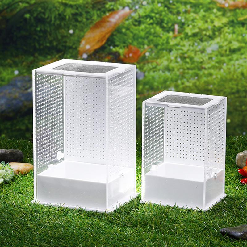 Acrylic Insect Feeder, Mantis, Landscape Observation, Reptile Cage ...