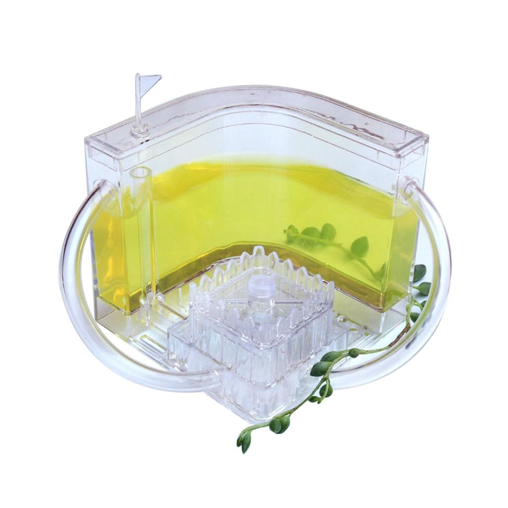 Kaufe Ant Nest Observation Kit Ant Castle Translucent Gel Ant Breeding ...