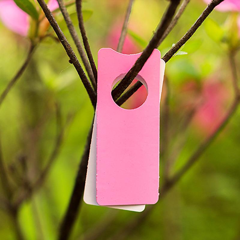 Buy 100pcs Grape Sign Markers Outdoor Plastic Waterproof Fruit Tags ...