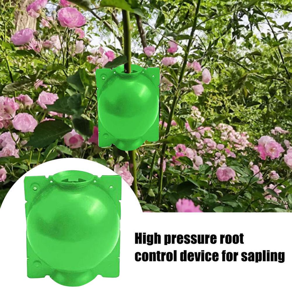 Rooting Box 5 Pieces/Set Of Tree Rooting Incubator Container Garden ...