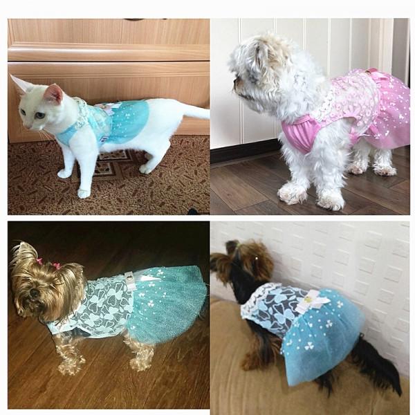 Buy AB060 Belle robe de chat en dentelle de mariage Jupes Robes pour ...