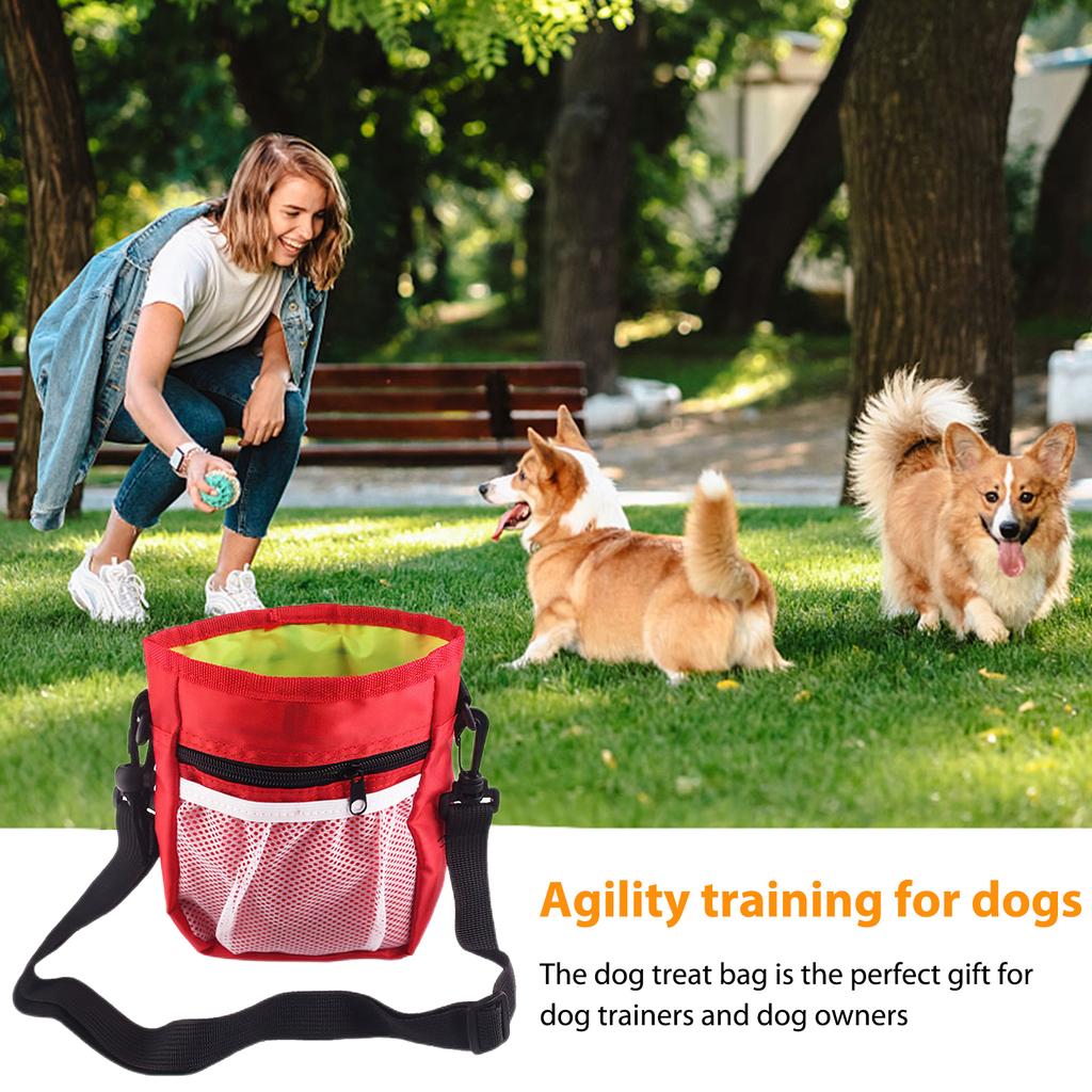 Buy Dog Treat Bag - Dog Food Snack Bag Container with Waist Belt ...