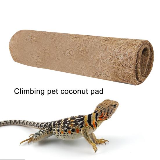 Buy Thickened Climbing Pet Carpet Reusable Safe Reptile Landscaping ...