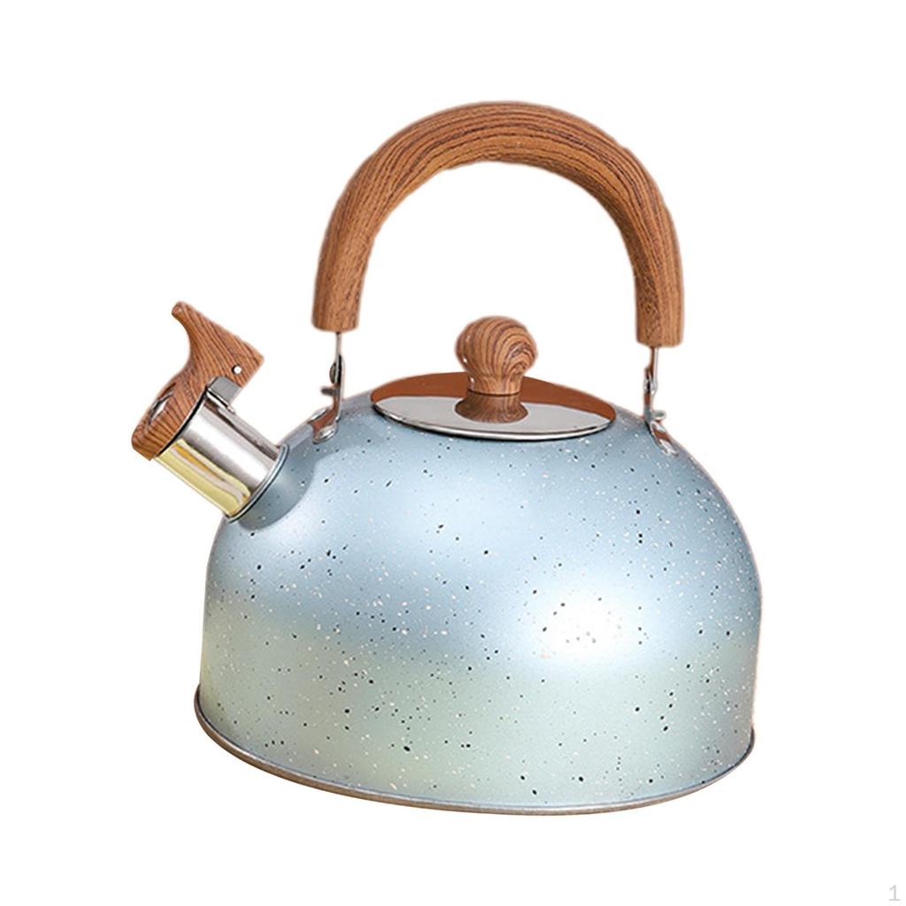 Stainless Steel 4L Teakettle, Anti Heat Handle Cookware Kitchenware ...