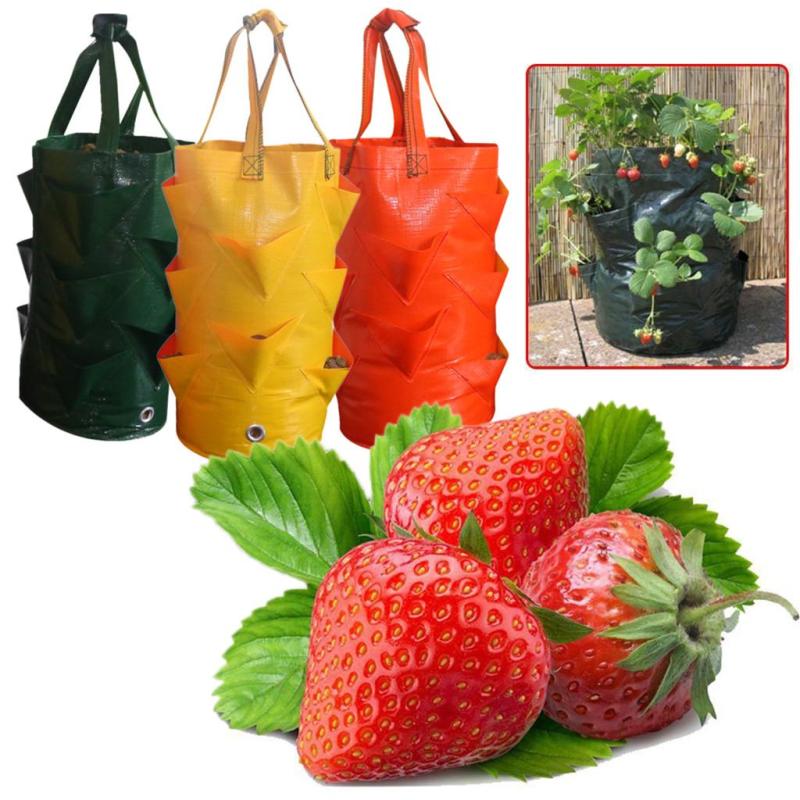 Buy New Universal Grow Planter Container Bag Plants Pouch Root Plant ...