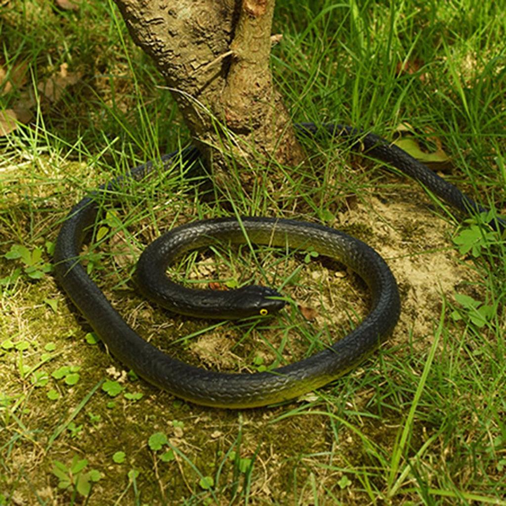 SW Simulation Funny Toy Tricky And Scary Black Green Field Snake Prank ...