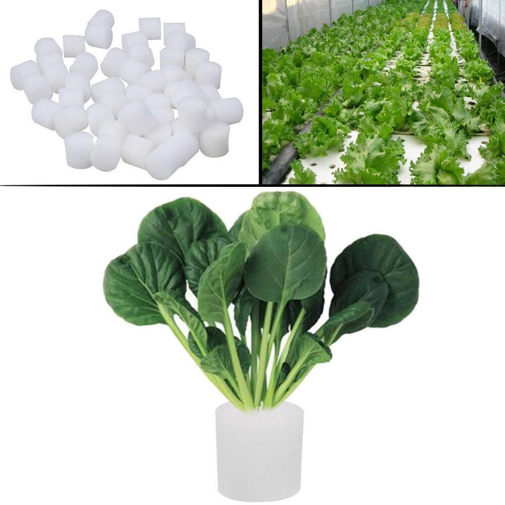 Buy 100pcs Soilless Hydroponic Sponge Nursery Plants Growth Cultivation ...